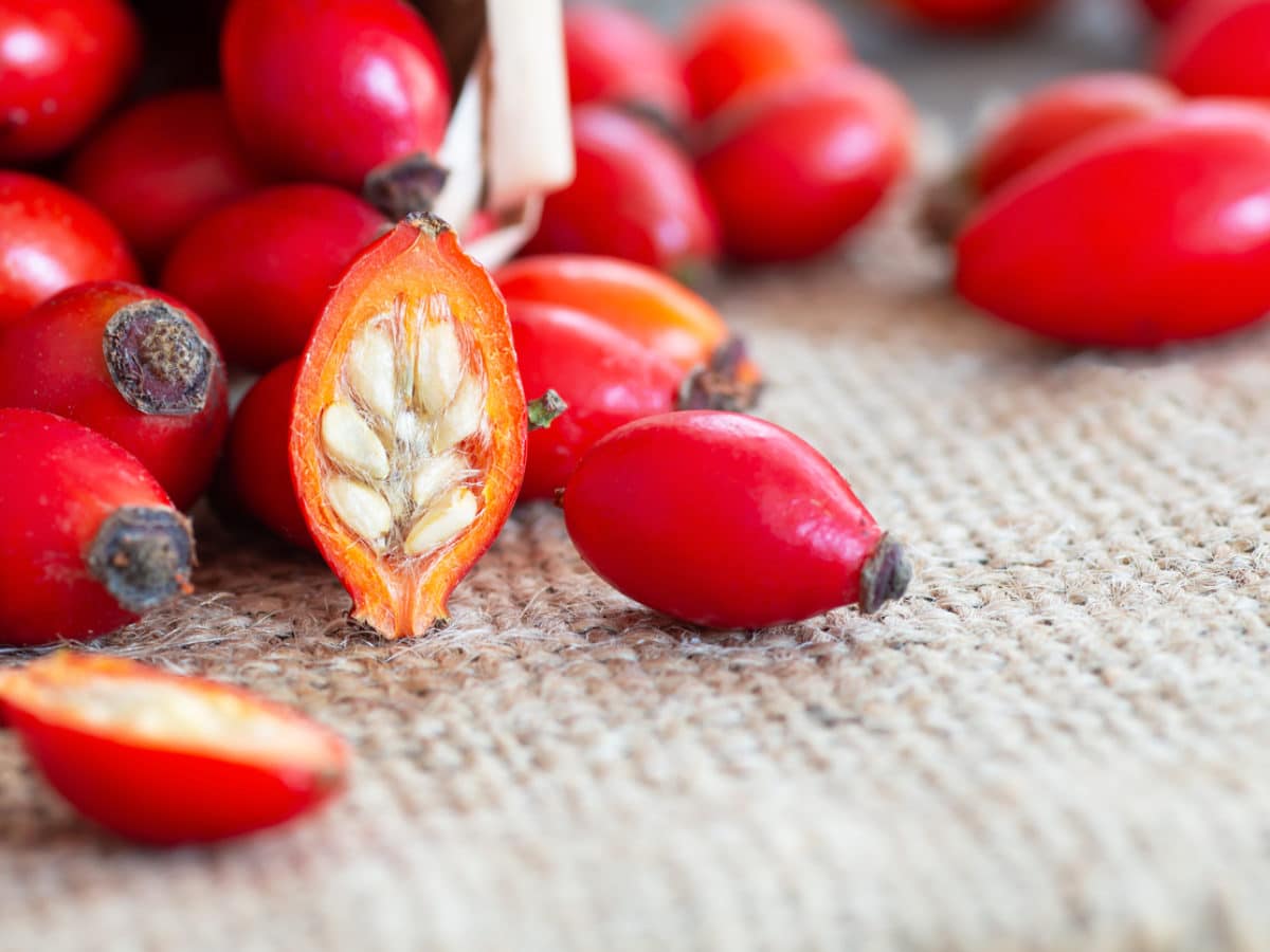 Fruit en E : Liste complète des fruits qui commencent par E